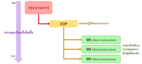 SOP คืออะไร ทำไมทุกองค์กรต้องมี - Teachme Biz