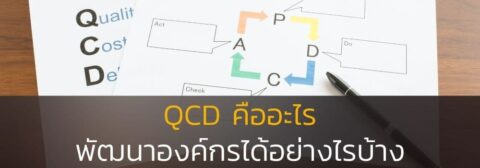 QCD คืออะไร - Teachme Biz